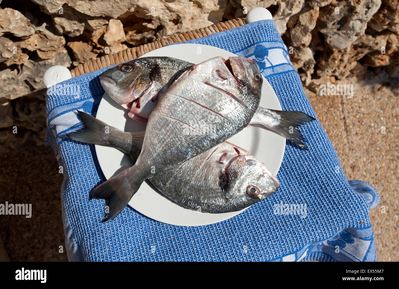 Freshly caught dorada fish ready for the BBQ on the island of Menorca ...