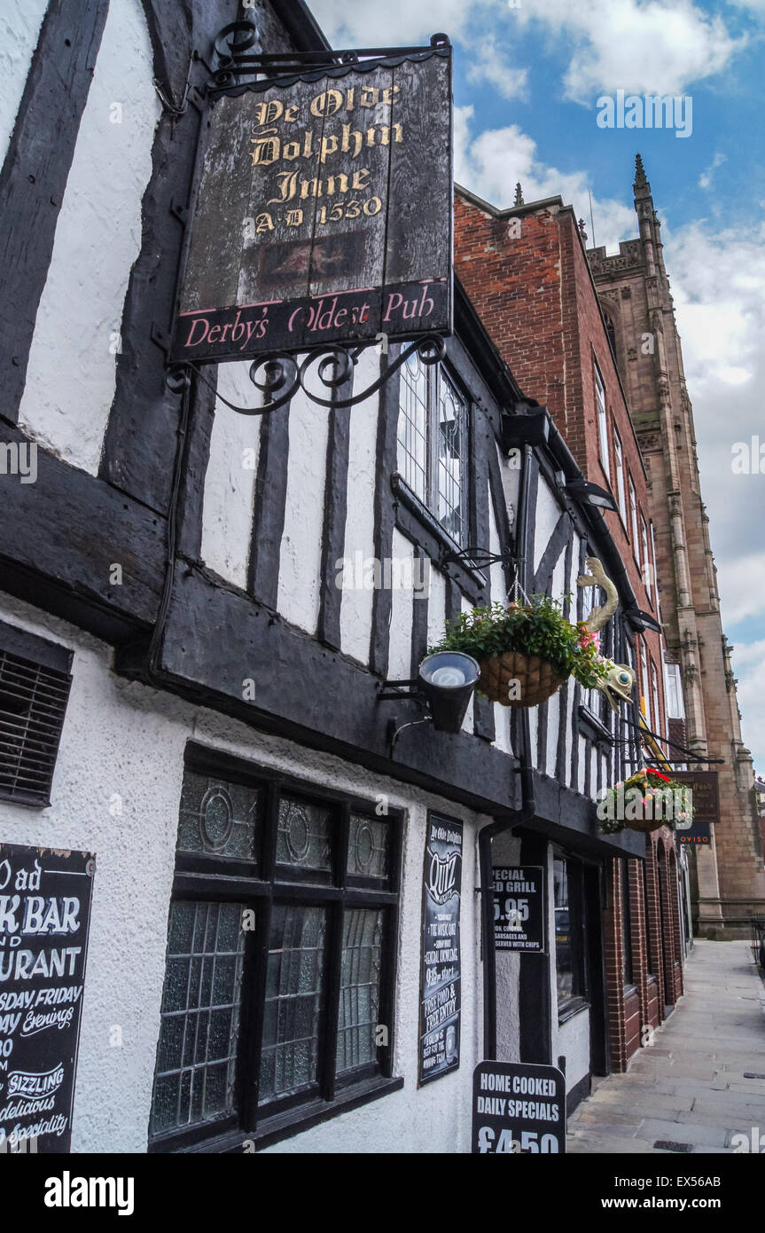 Dolphin derby hi-res stock photography and images - Alamy