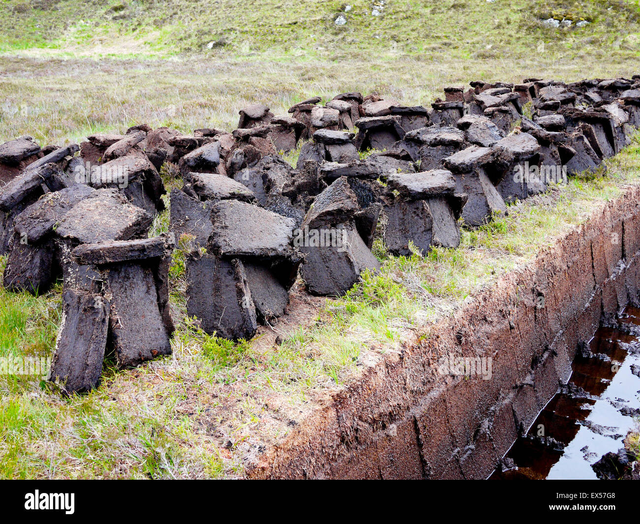 Peat cut and drying, Scotland, UK Stock Photo - Alamy