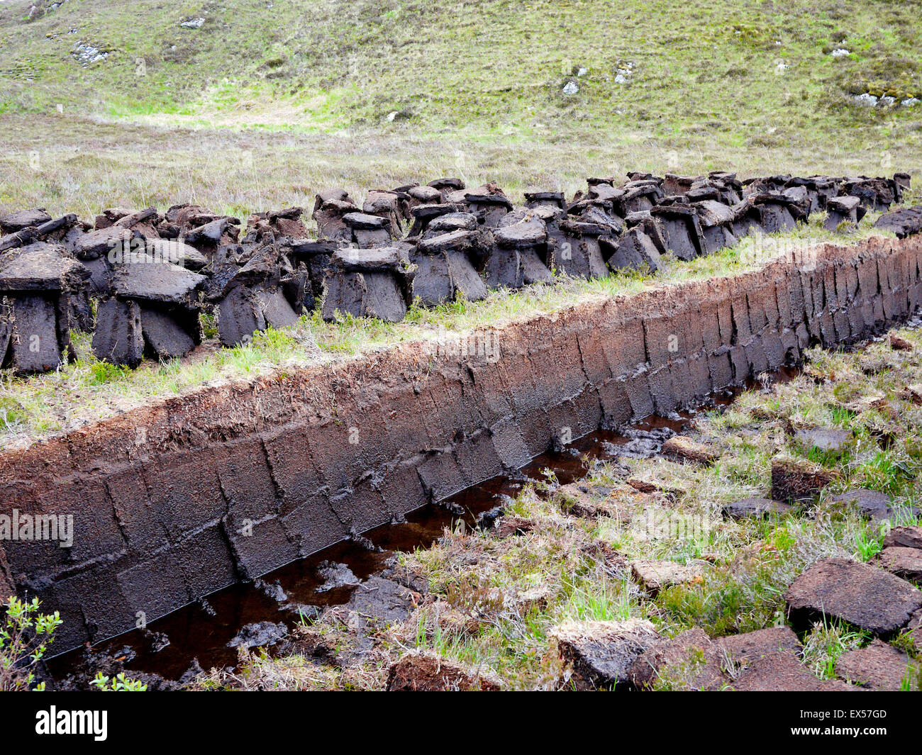 Peat cut and drying, Scotland, UK Stock Photo - Alamy