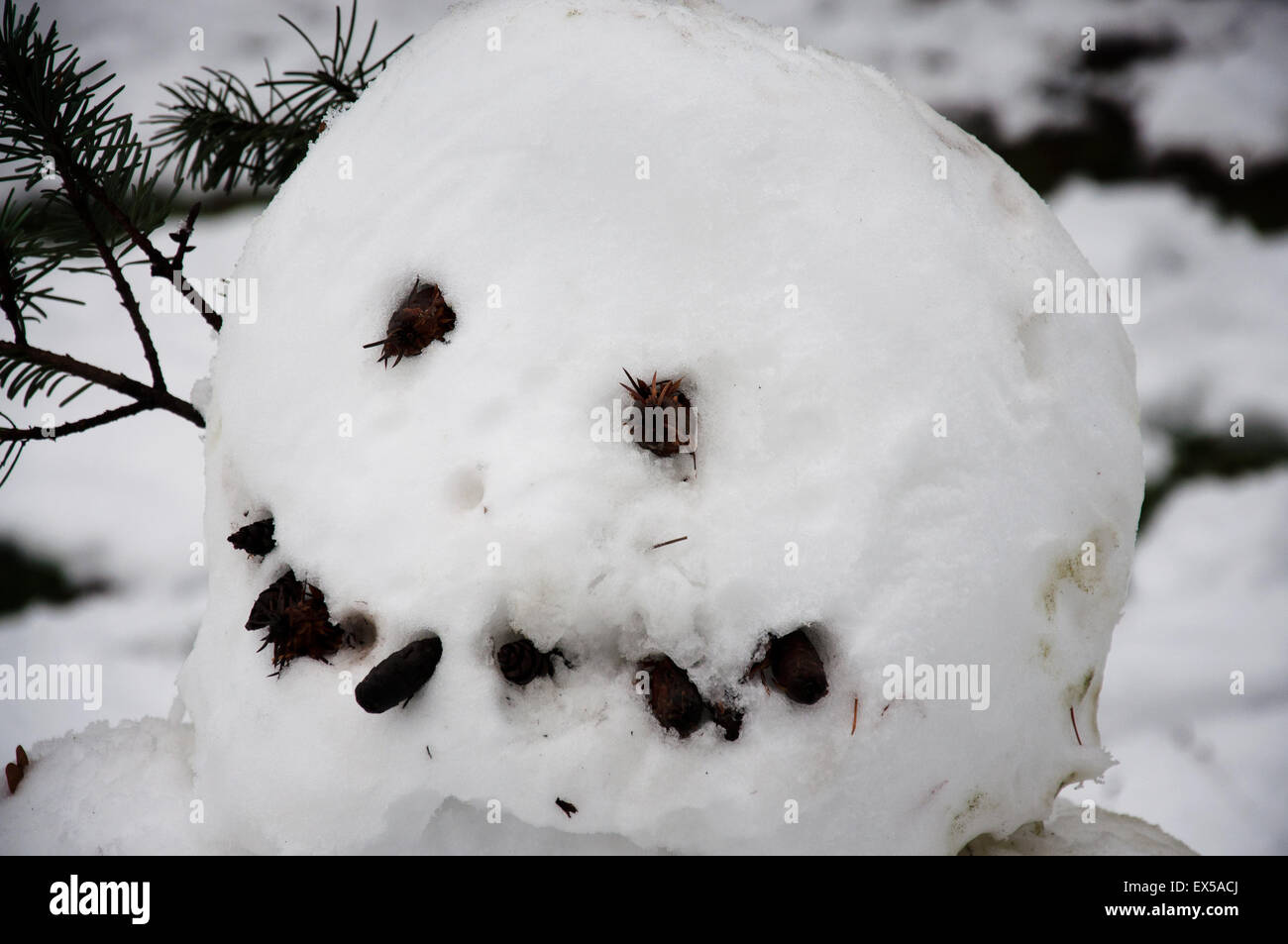 Snowman carrot hi-res stock photography and images - Alamy