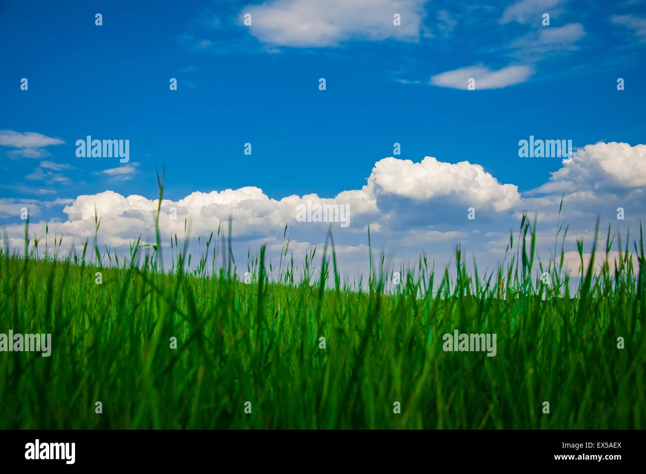 Horizontal horizon hi-res stock photography and images - Alamy