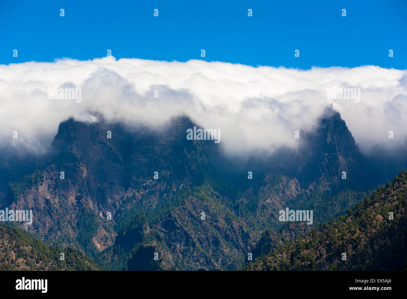 ESP, Spain, the Canary Islands, island of La Palma, national park ...