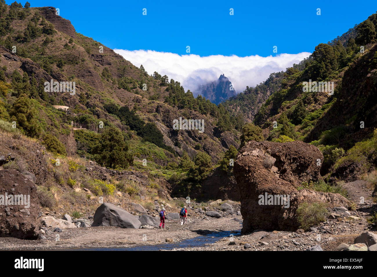 ESP, Spain, the Canary Islands, island of La Palma, national park ...