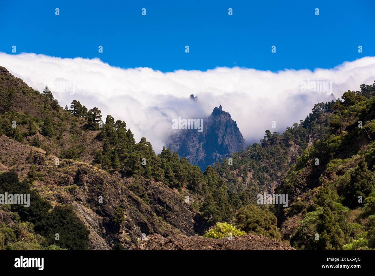 ESP, Spain, the Canary Islands, island of La Palma, national park ...