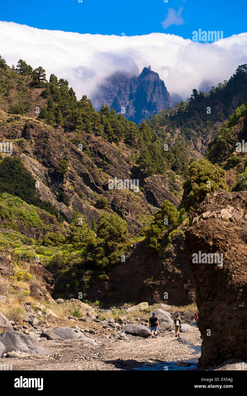 ESP, Spain, the Canary Islands, island of La Palma, national park ...