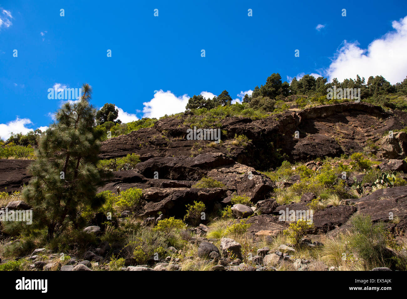 ESP, Spain, the Canary Islands, island of La Palma, national park ...