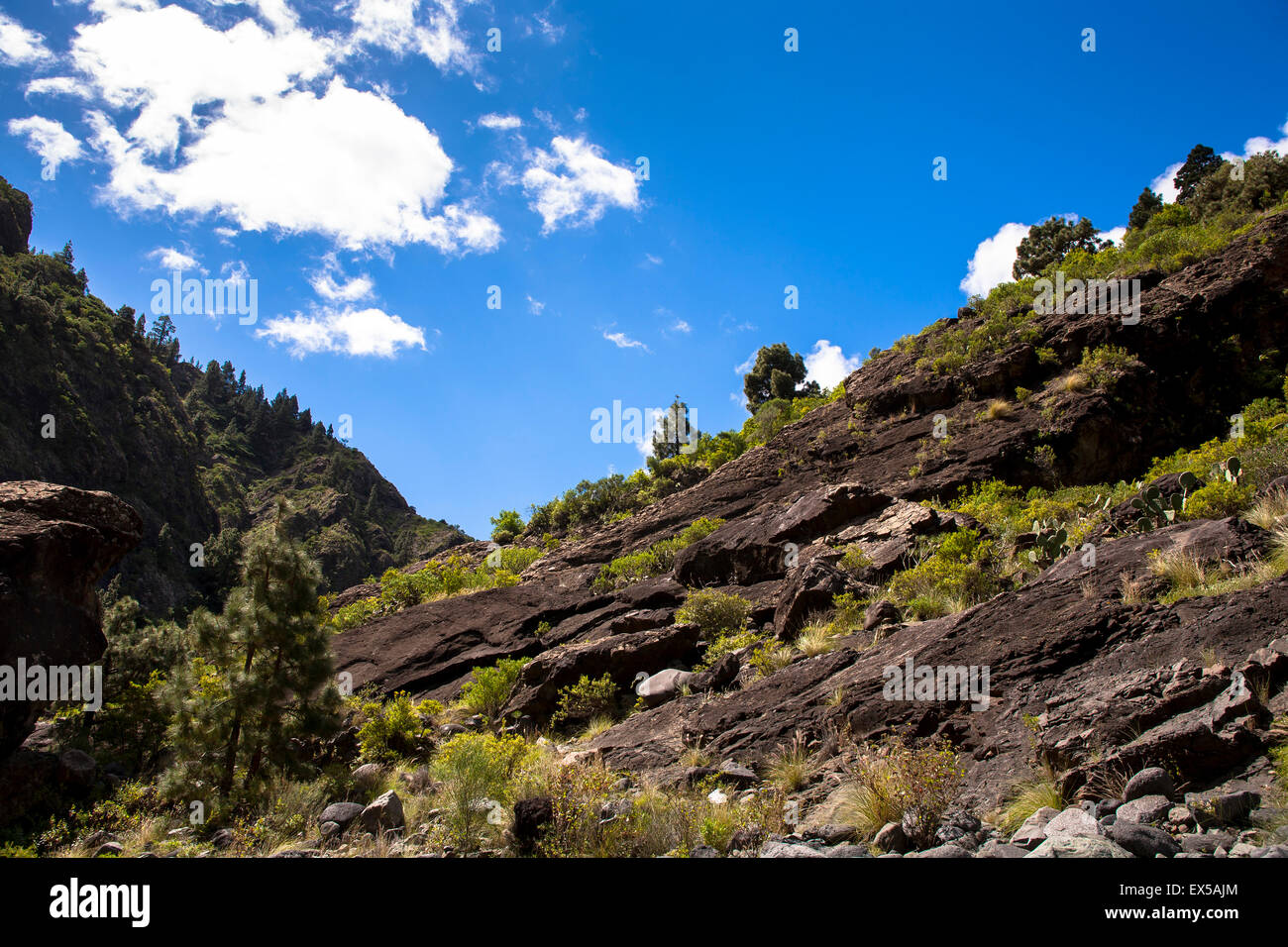 ESP, Spain, the Canary Islands, island of La Palma, national park ...