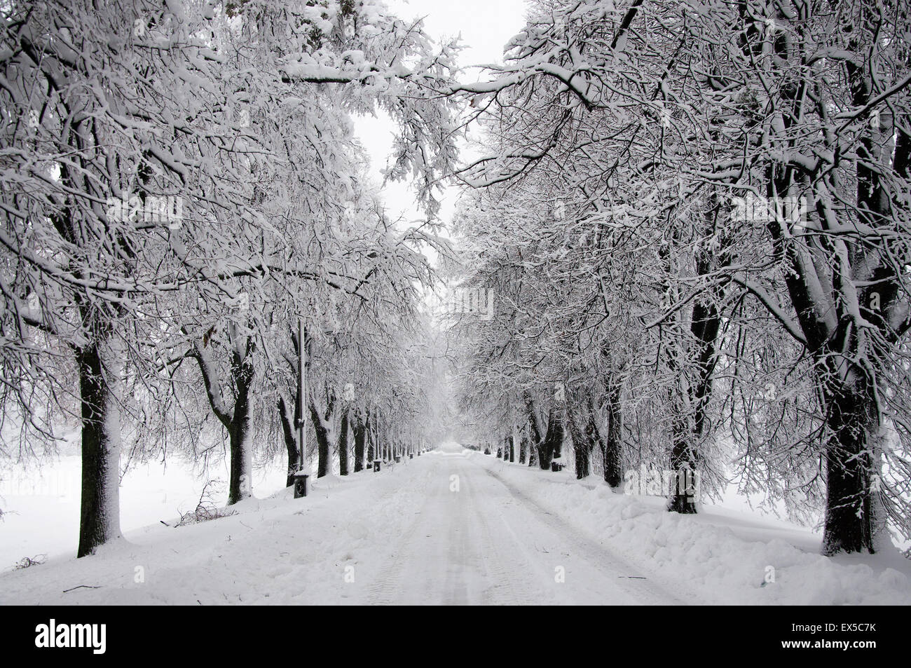 Long snowy road hi-res stock photography and images - Alamy