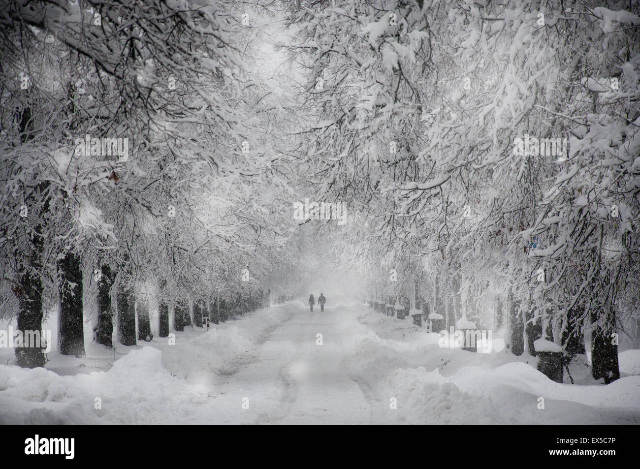 Long snowy road hi-res stock photography and images - Alamy