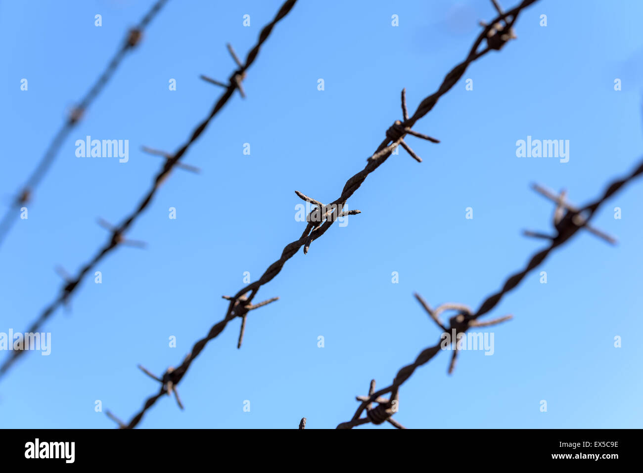 Prison Rusty Barbed Wire On Blue Sky Stock Photo - Alamy