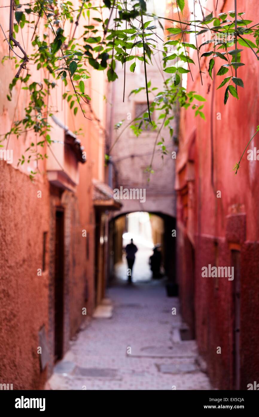 Shadow of lady hi-res stock photography and images - Alamy