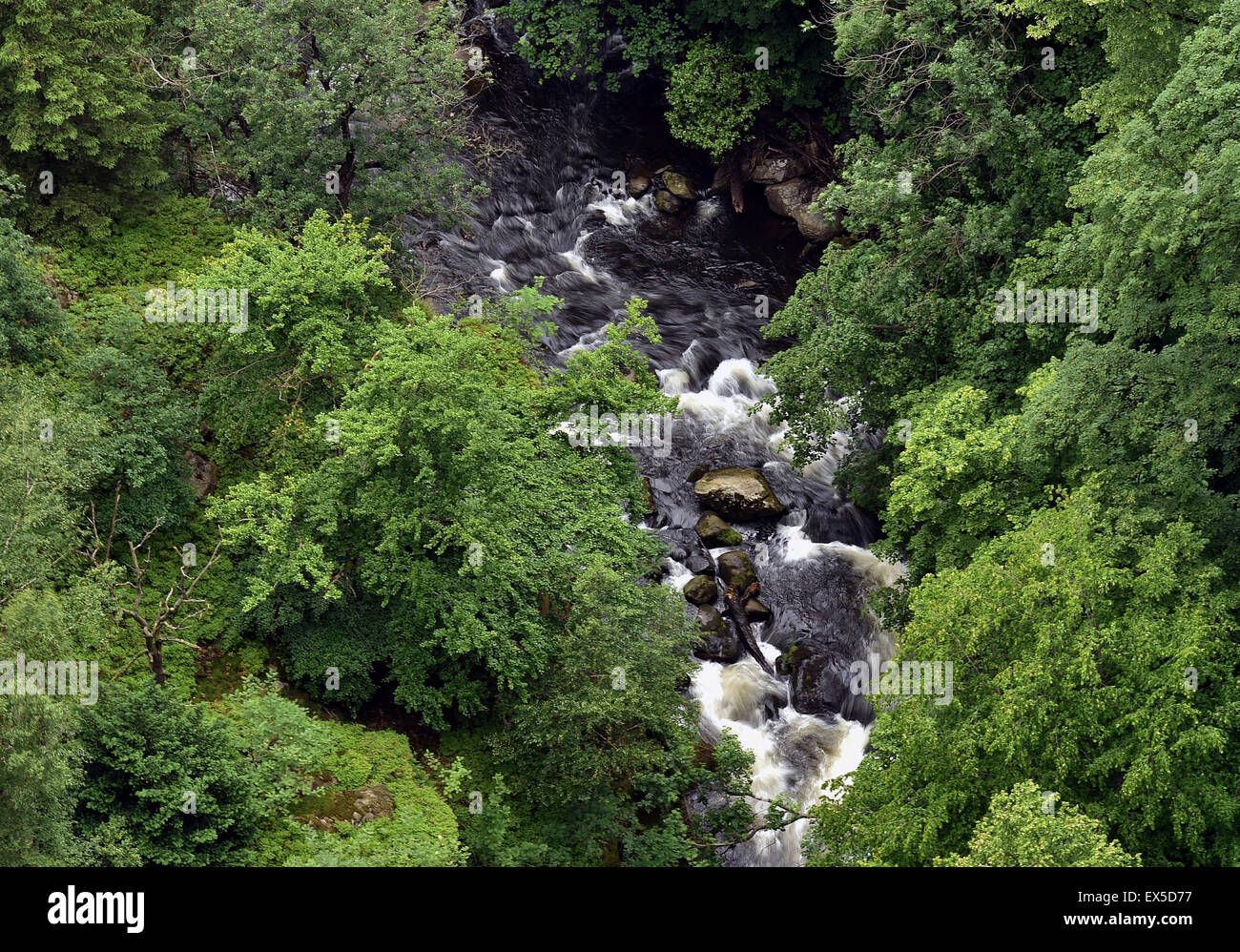 The stream Bode cleaves its way through the forest down at the ...