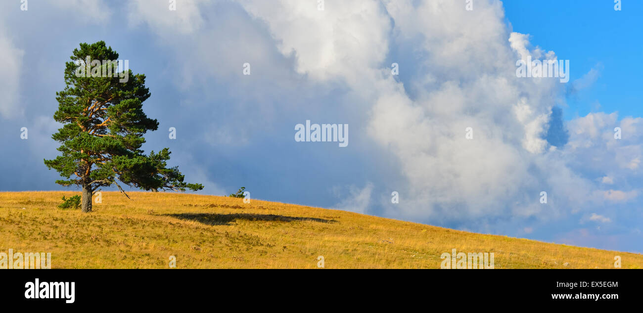 High life highland hi-res stock photography and images - Alamy