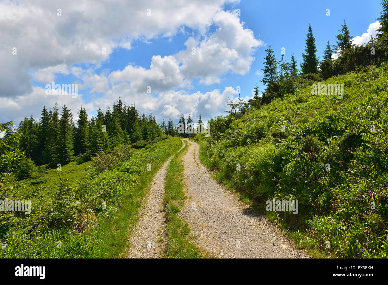 Tourism tourist travel touring hi-res stock photography and images - Alamy