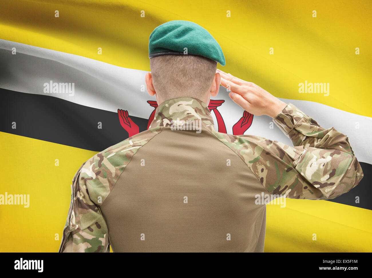 Soldier in hat facing national flag series - Brunei Stock Photo - Alamy