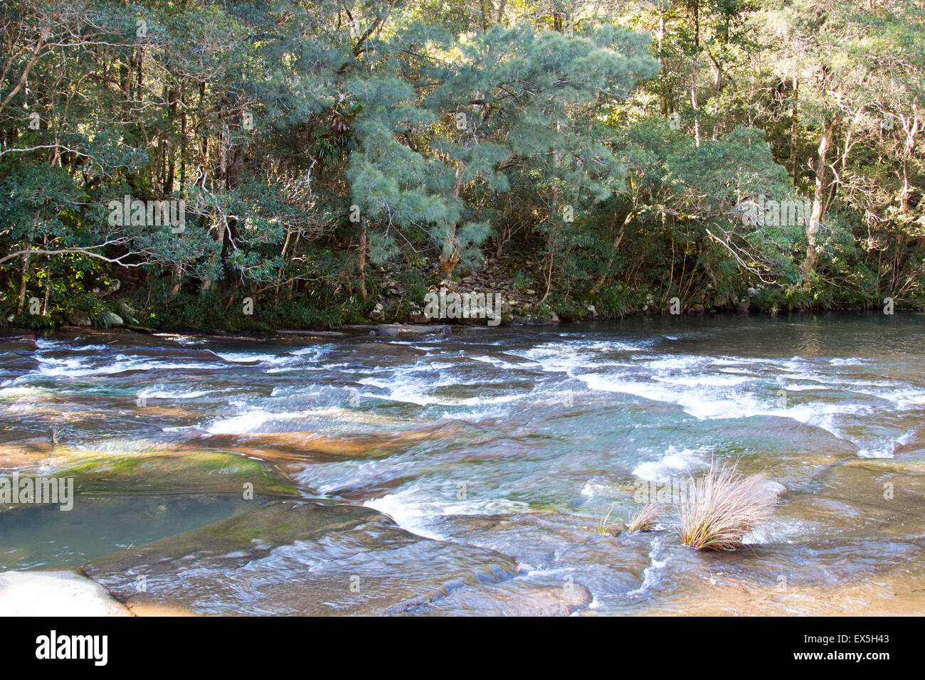 Upper kangaroo river hi-res stock photography and images - Alamy