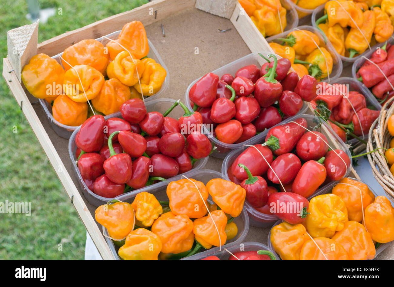 Vegetable boxes hi-res stock photography and images - Alamy