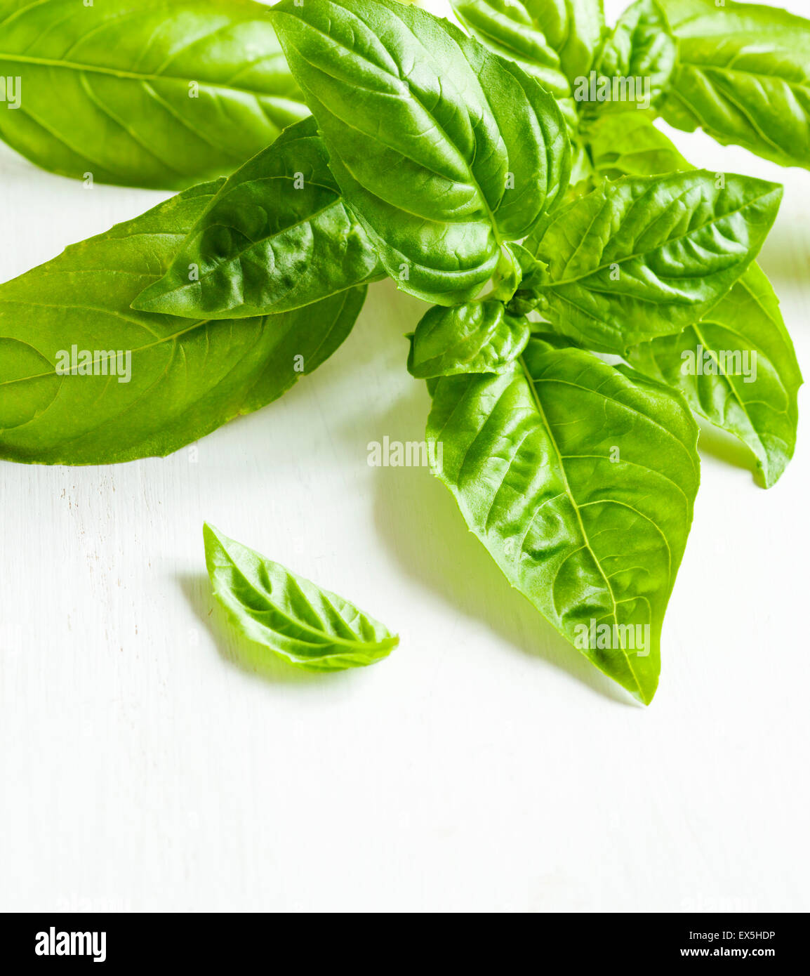 Basil leaves and salt on white wooden background. Food background with ...