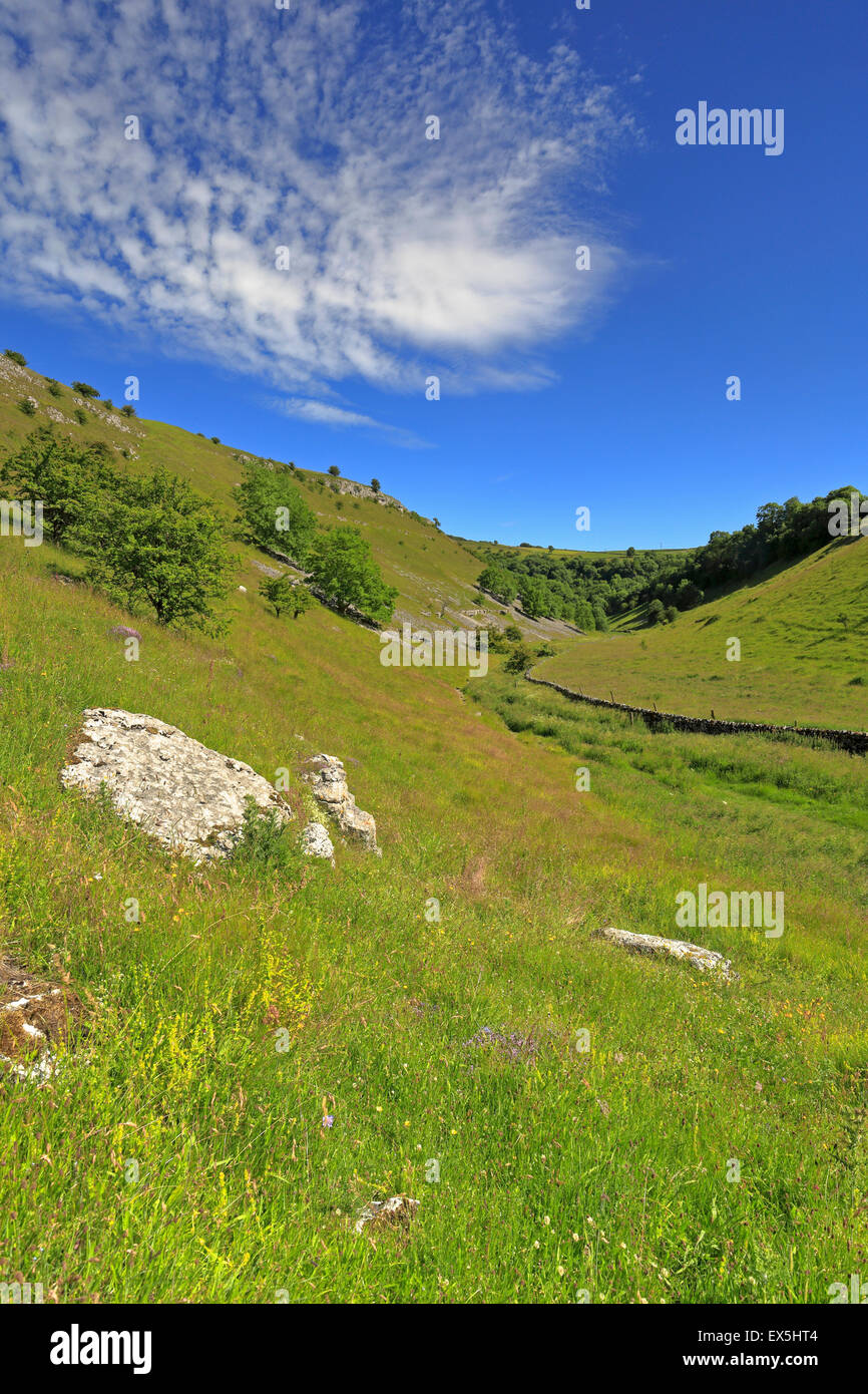 Lathkill Dale dry valley, Peak District National Park, Derbyshire ...
