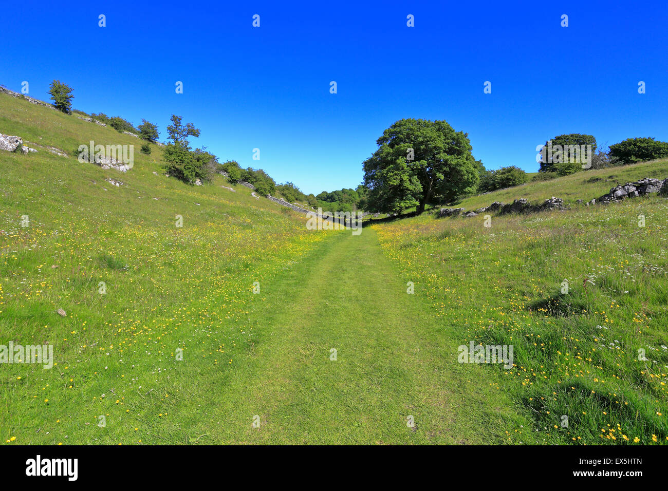 Lathkill Dale dry valley, Peak District National Park, Derbyshire ...