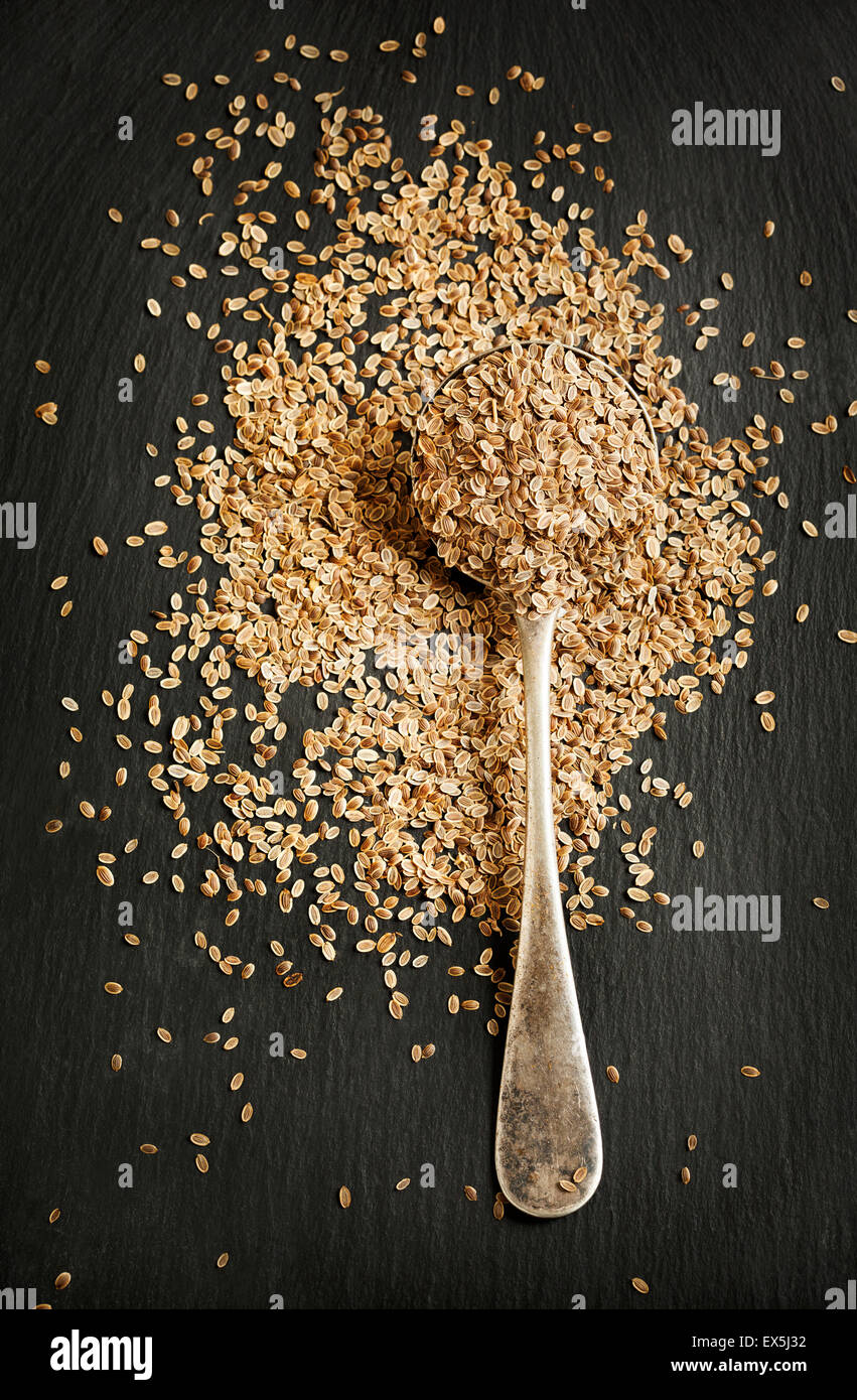 Fennel fragrant seeds Stock Photo - Alamy