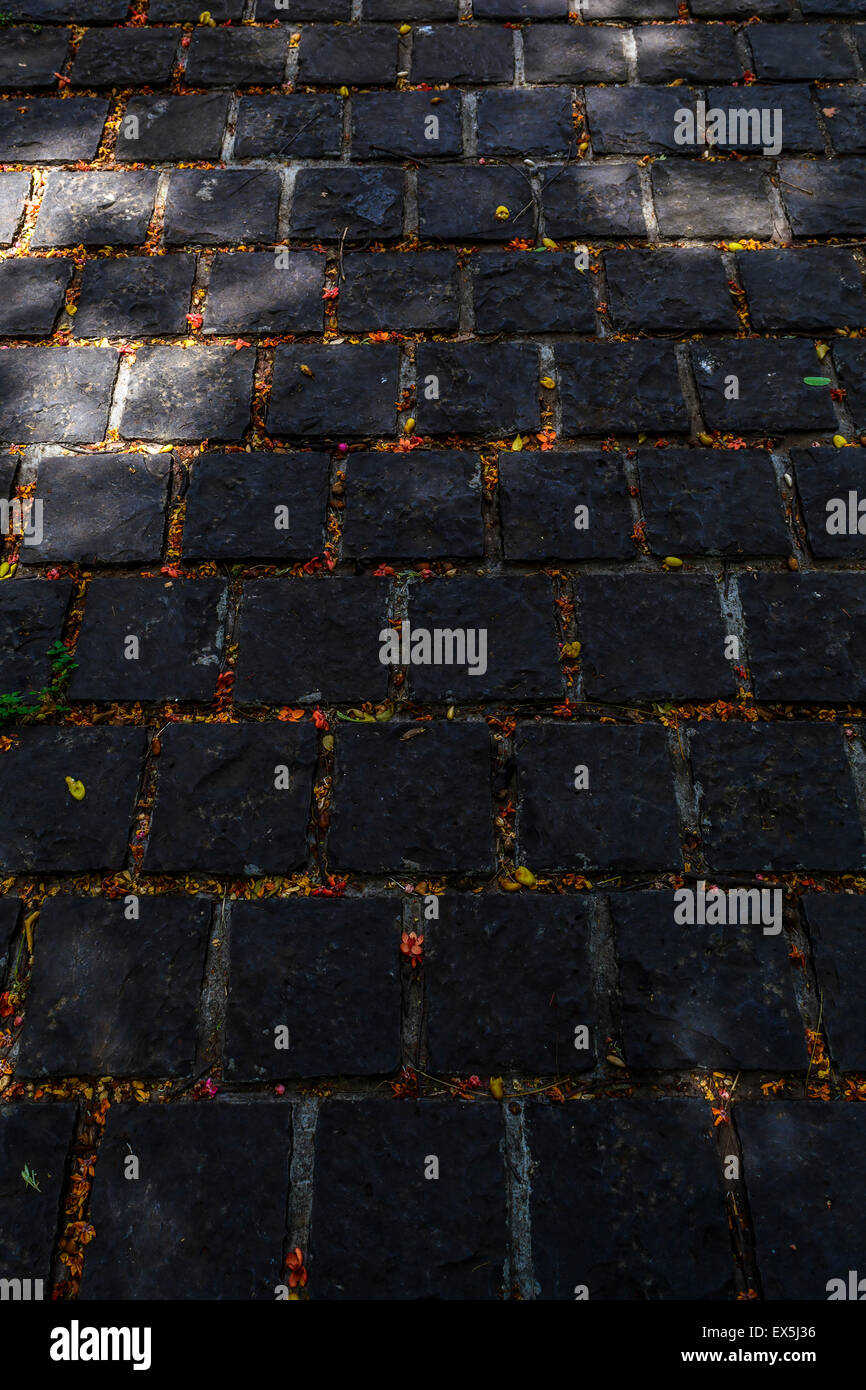 Ramp walk background hi-res stock photography and images - Alamy