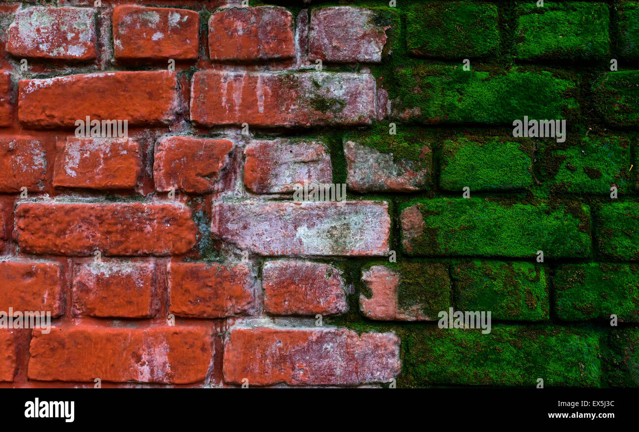 Indian partition hi-res stock photography and images - Alamy