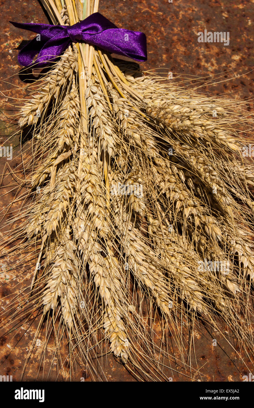 Ribbon stem hi-res stock photography and images - Alamy