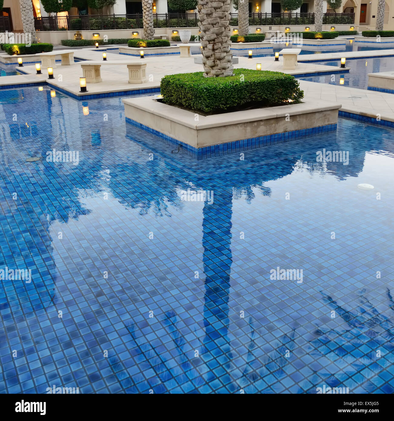 swimming water pool, reflection of palm tree Stock Photo - Alamy