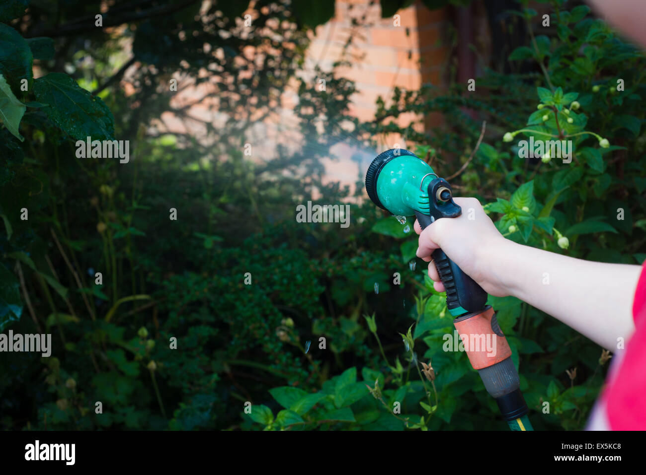 Hand hose spray hi-res stock photography and images - Alamy