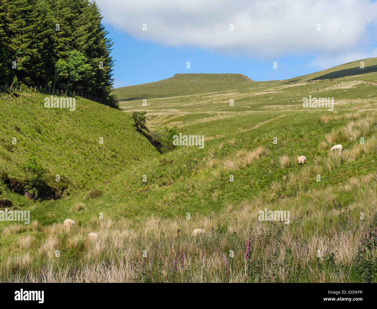 Corn du mountain hi-res stock photography and images - Alamy