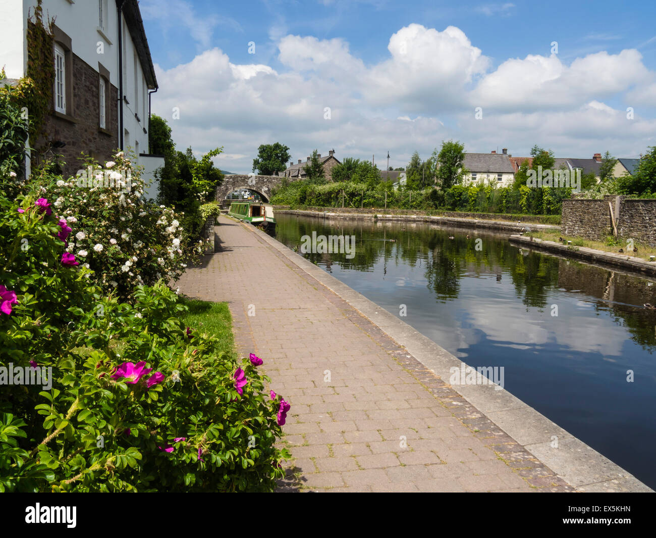 Monmouthshire and Brecon Canal, (Mon & Brec), near Brecon, Powys, Wales ...