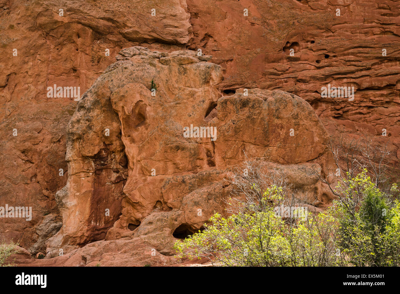 Texture of red rock, Garden of the Gods, Colorado Springs, Colorado ...