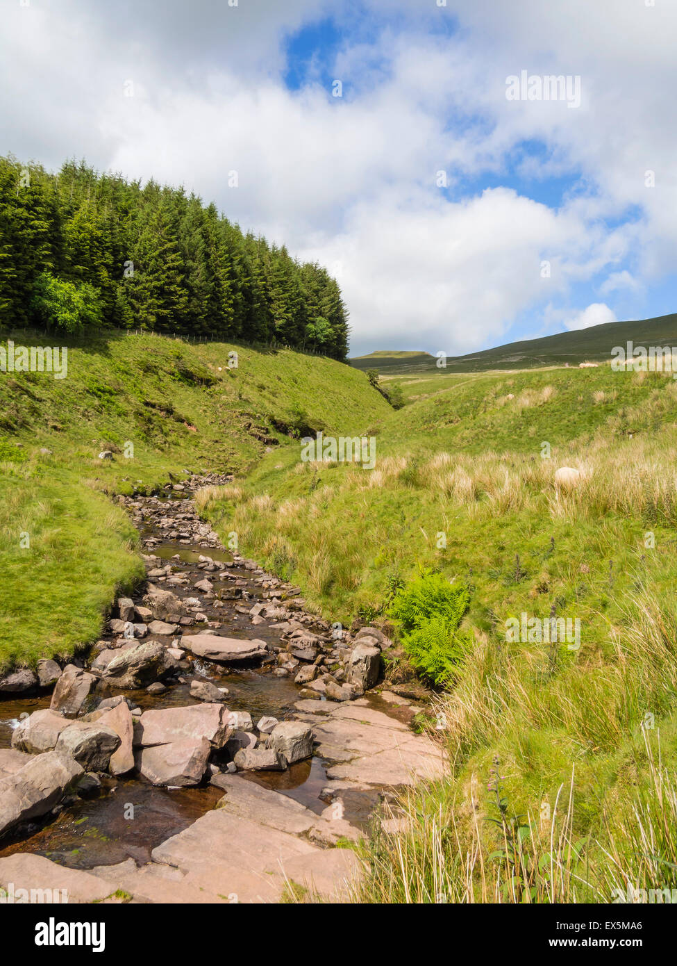 Corn du hi-res stock photography and images - Alamy