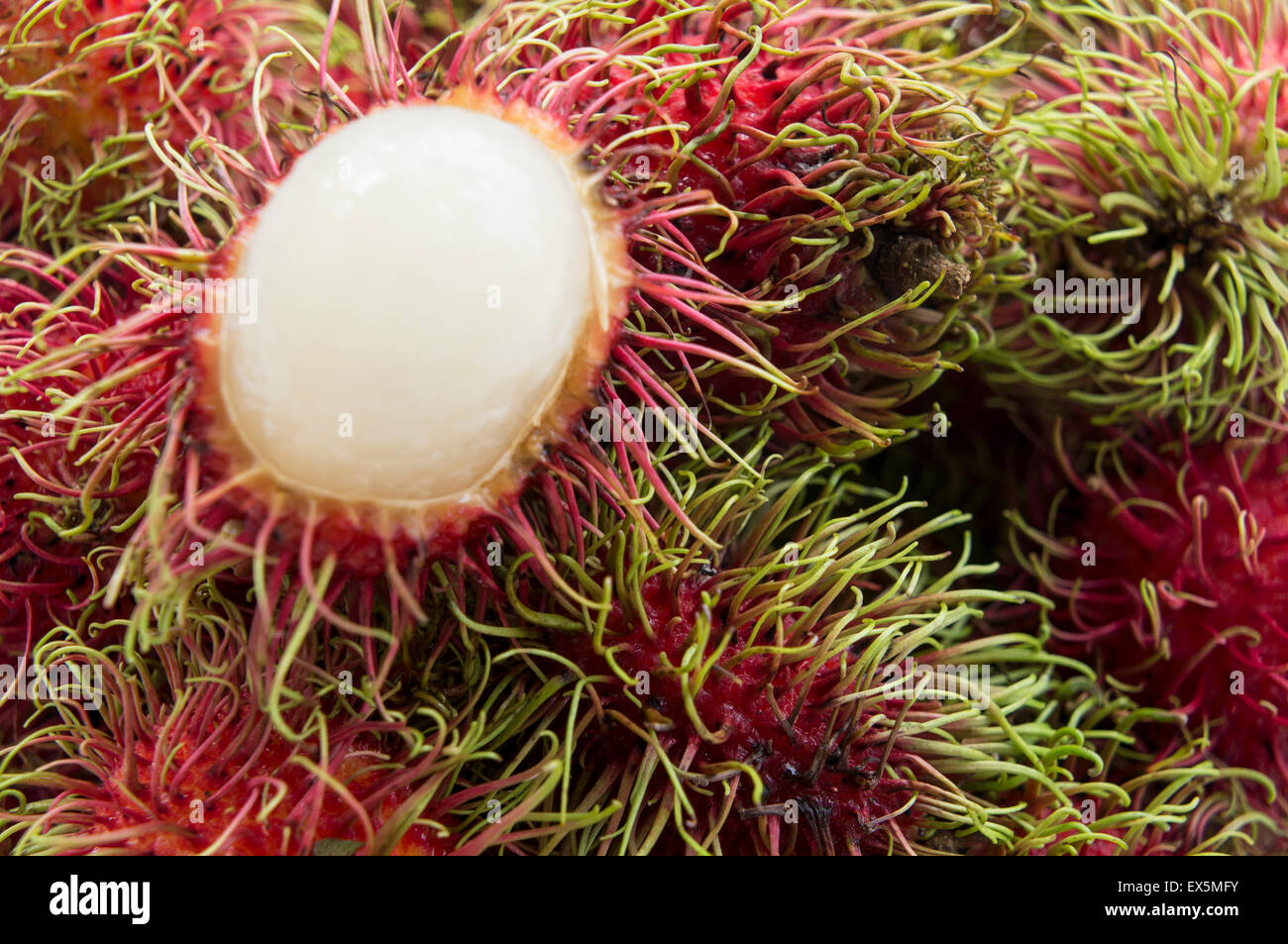 rambutan closeup hairy delicious agriculture Stock Photo - Alamy