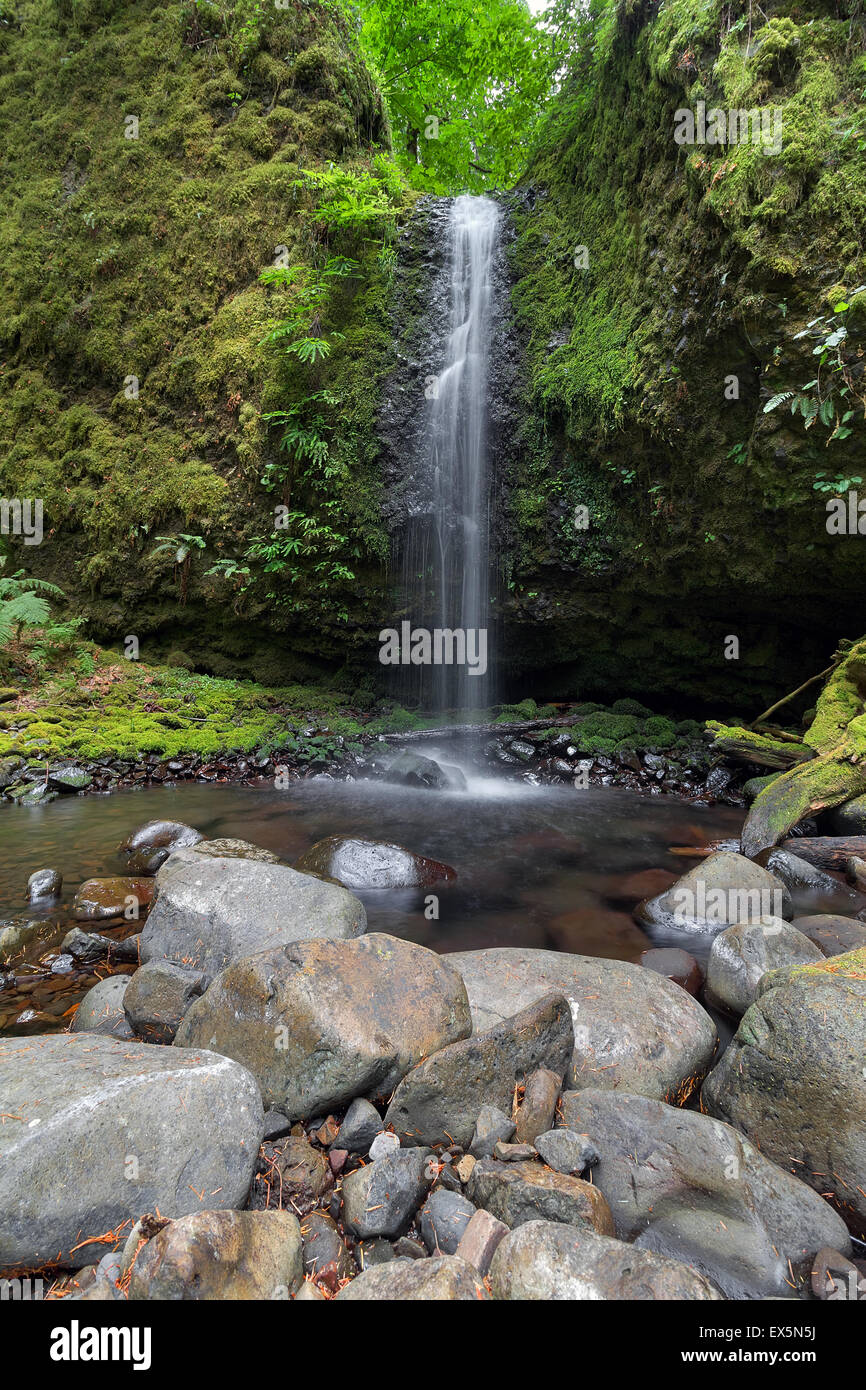Mossy Grotto Falls falling into a pool in Columbia River Gorge National ...