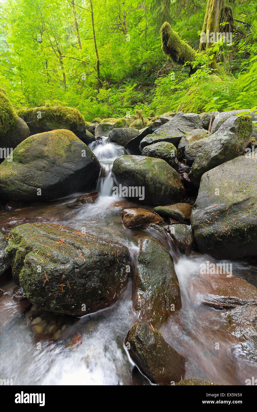 Ruckel hi-res stock photography and images - Alamy