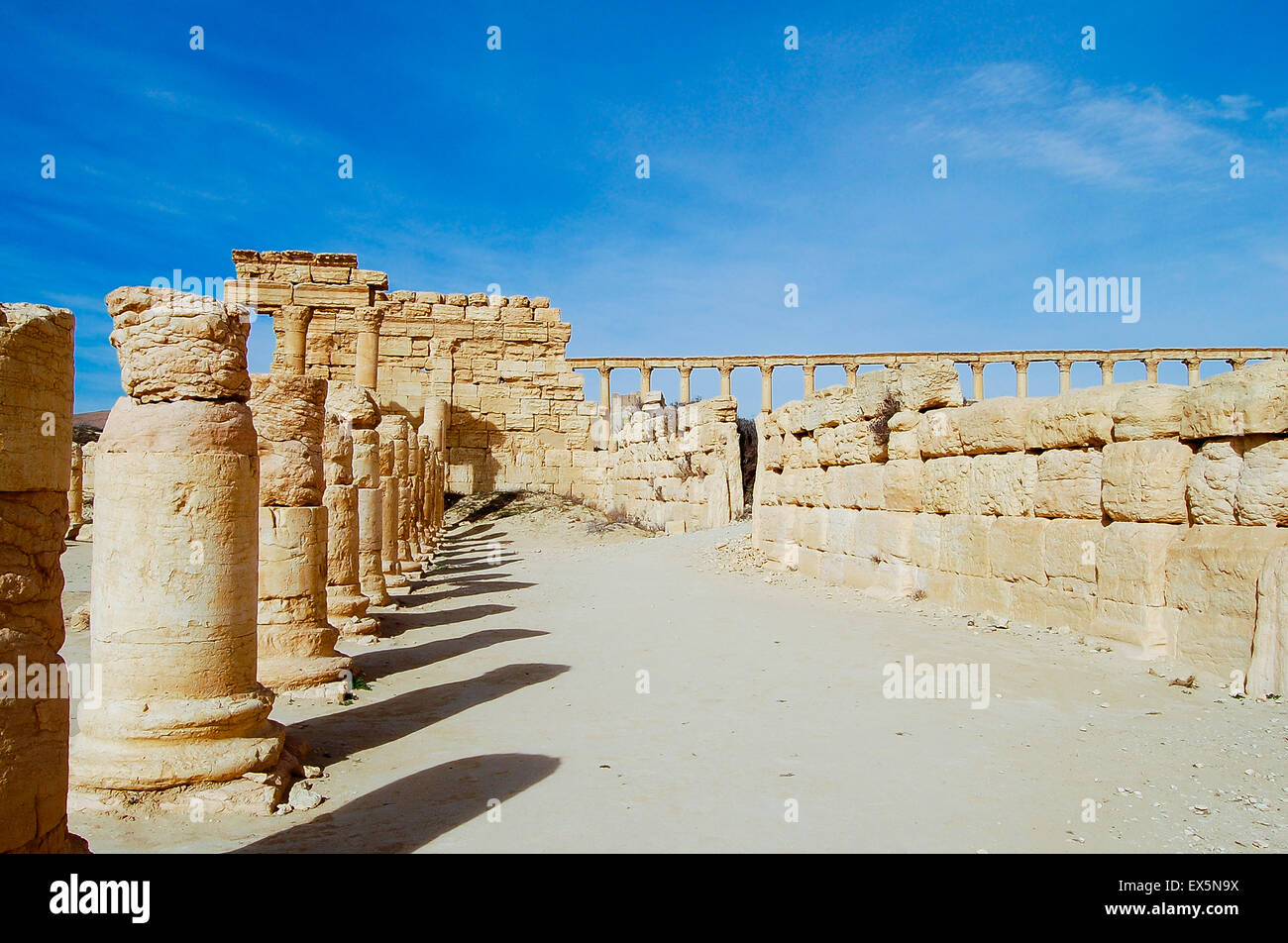 Palmyra Ruins High Resolution Stock Photography and Images - Alamy