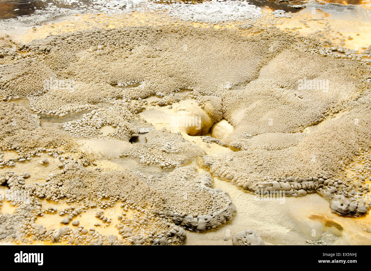 limestone and Geyser in Yellowstone National Park Stock Photo - Alamy