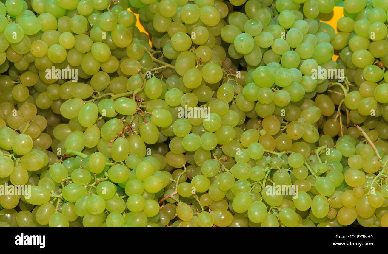 Green grapes hi-res stock photography and images - Alamy