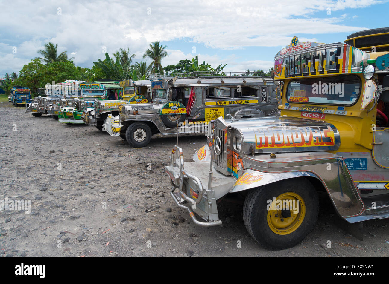 colorful jeepneys in naga city, philippines Stock Photo - Alamy