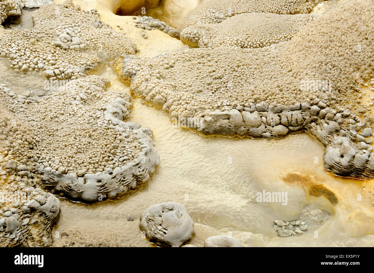 limestone and Geyser in Yellowstone National Park Stock Photo - Alamy