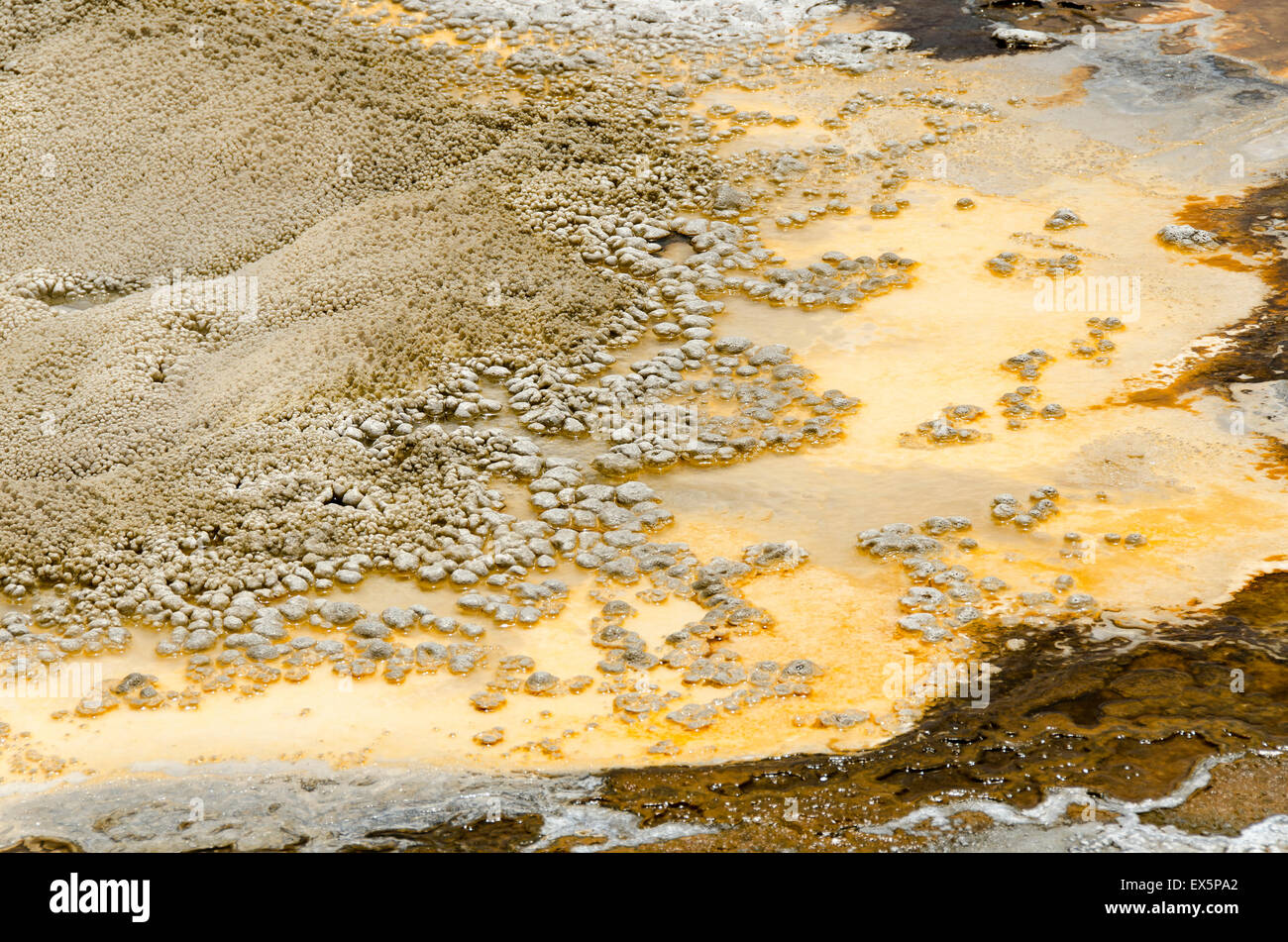 limestone and Geyser in Yellowstone National Park Stock Photo - Alamy