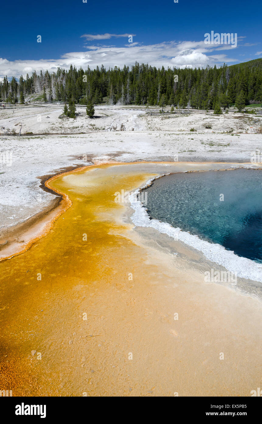 limestone and Geyser in Yellowstone National Park Stock Photo - Alamy