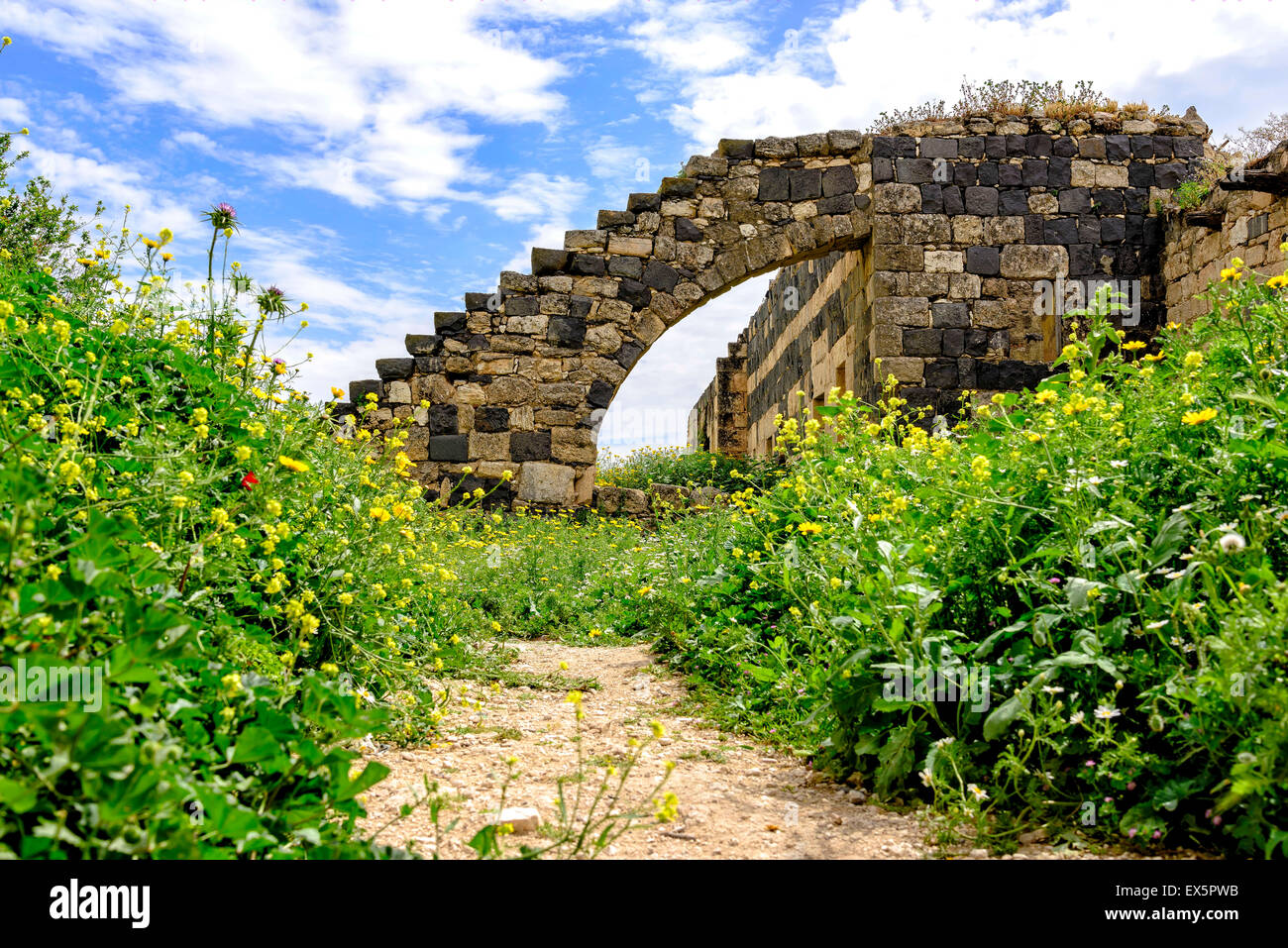 View of an ancient roman wall in Umm Qais, Jordan - Umm Qais is the ...