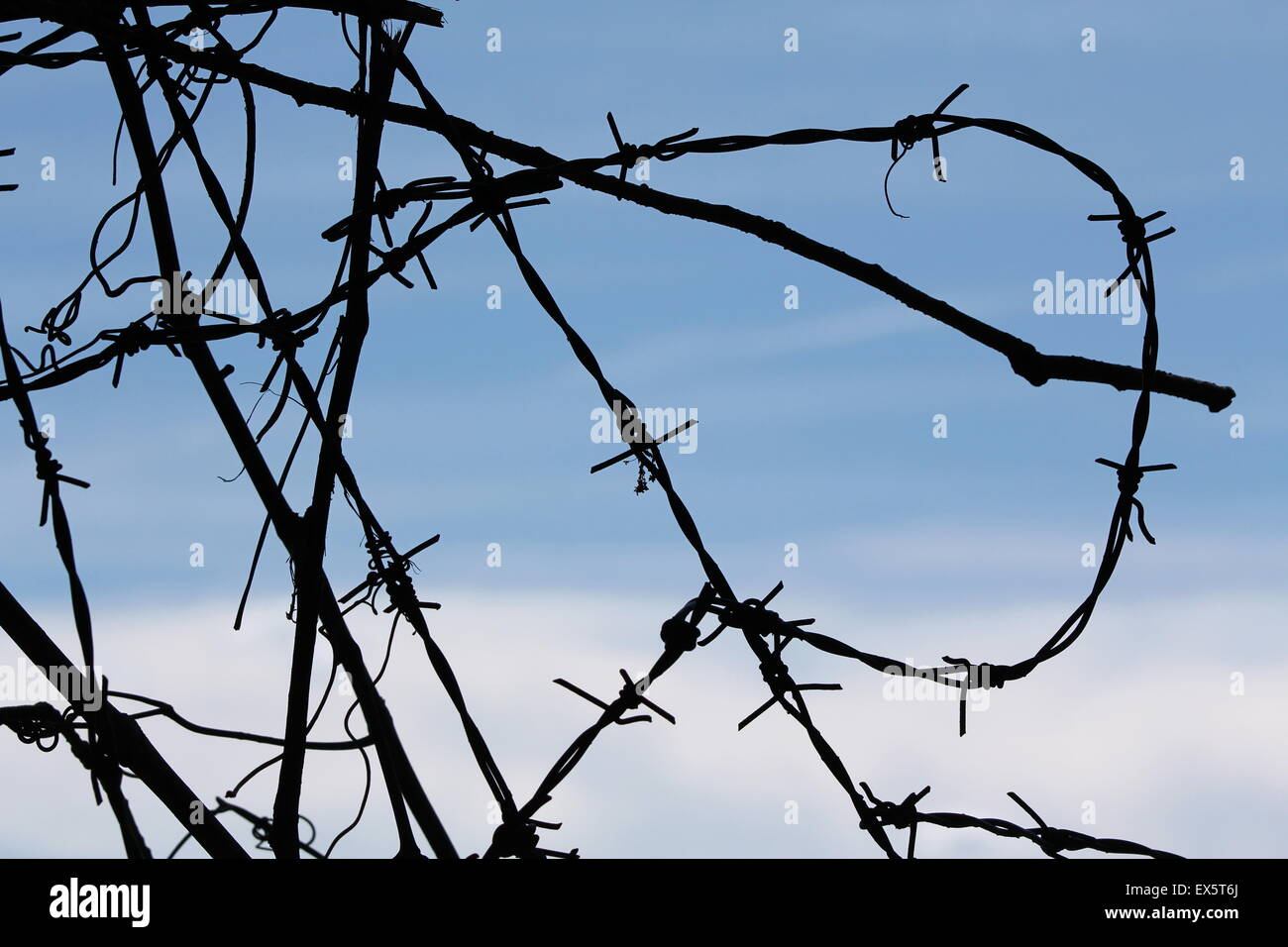 Tangle of barbed wire against the sky Stock Photo - Alamy