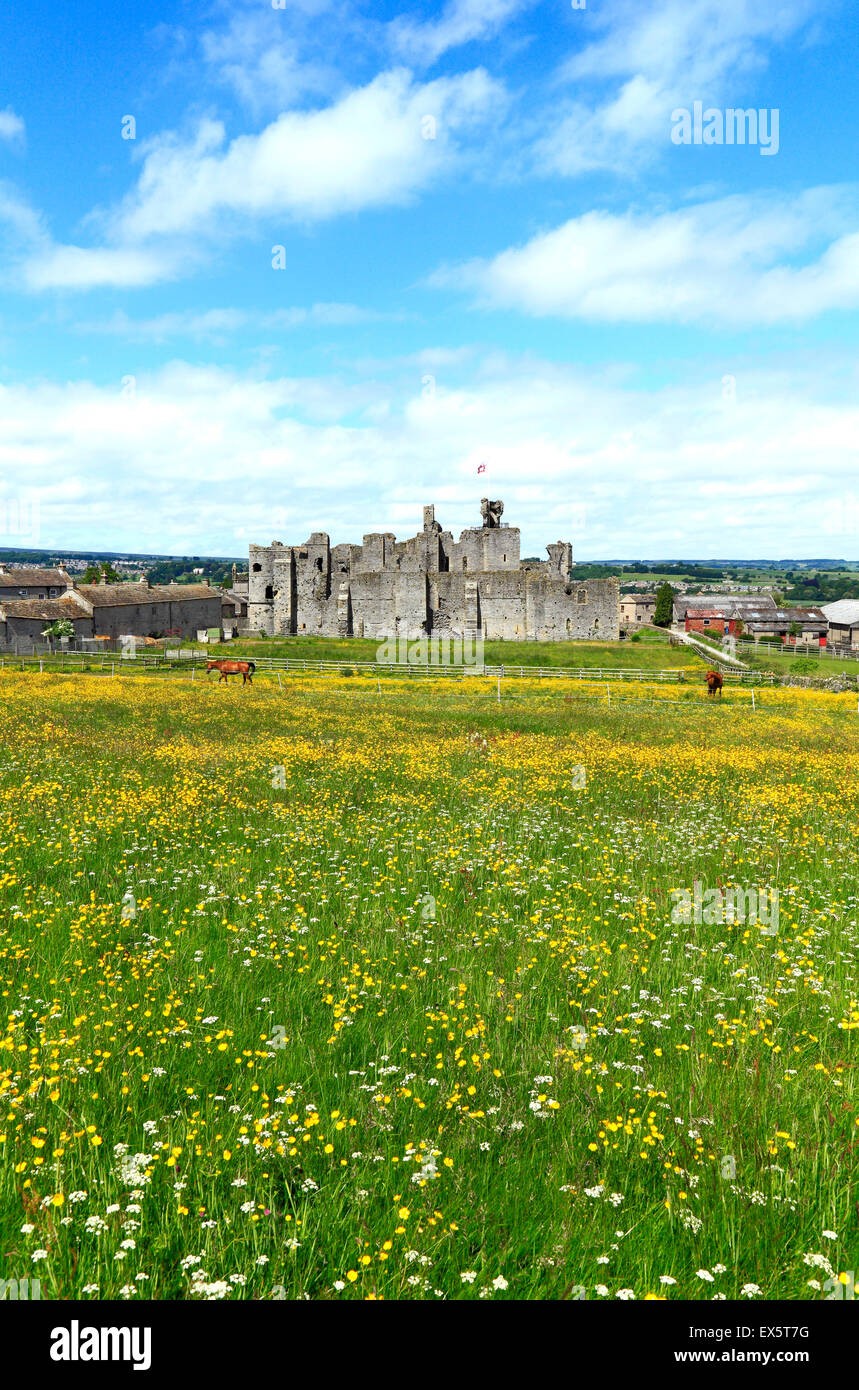 Richard castle hi-res stock photography and images - Alamy