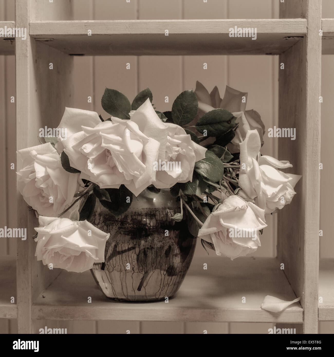vintage roses on shelf Stock Photo - Alamy