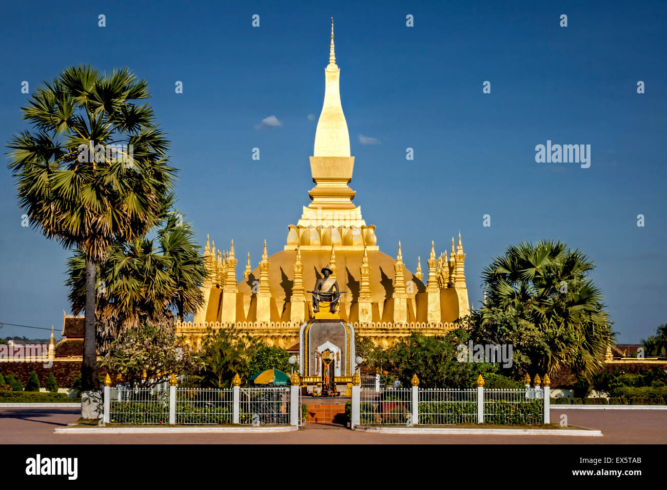 National Tree Of Laos Stock Photos & National Tree Of Laos Stock Images ...